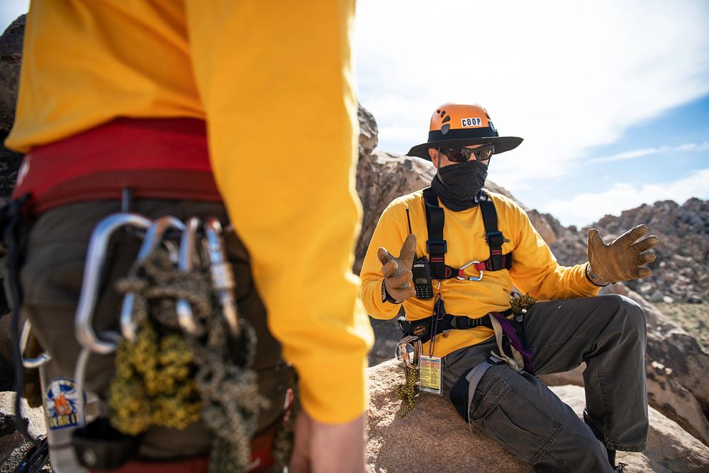 Joshua Tree Search and Rescue | Free Photo - rawpixel