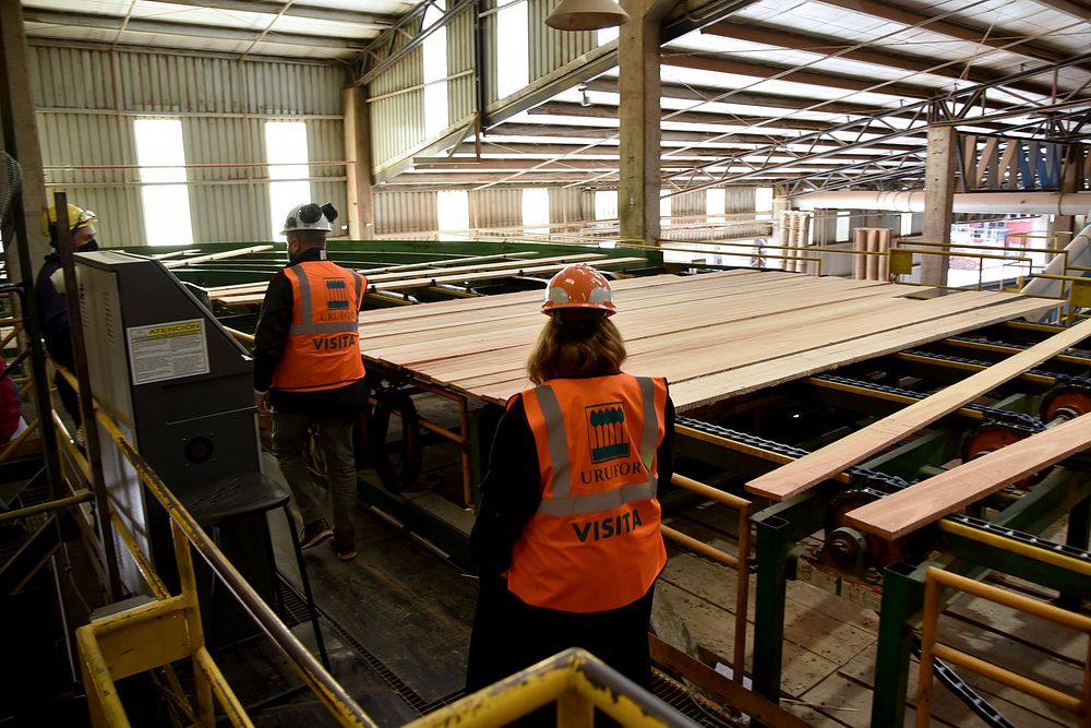 CdA. Savage visita Rivera | Free Photo - rawpixel