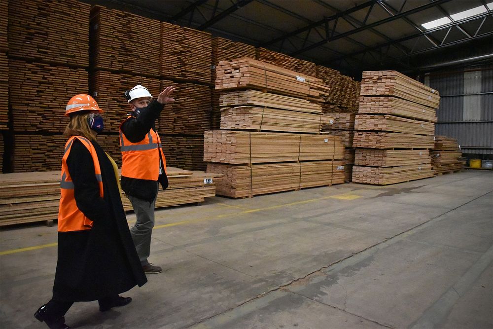 CdA. Savage visita Rivera | Free Photo - rawpixel