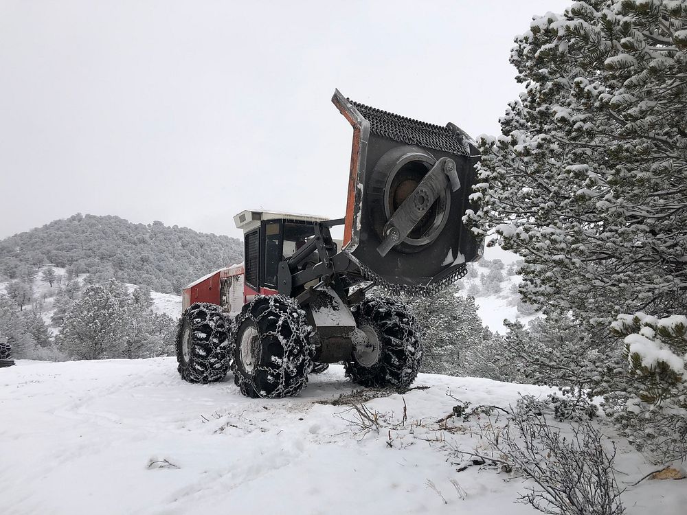 Winner 2022 BLM Fire Employee | Free Photo - rawpixel