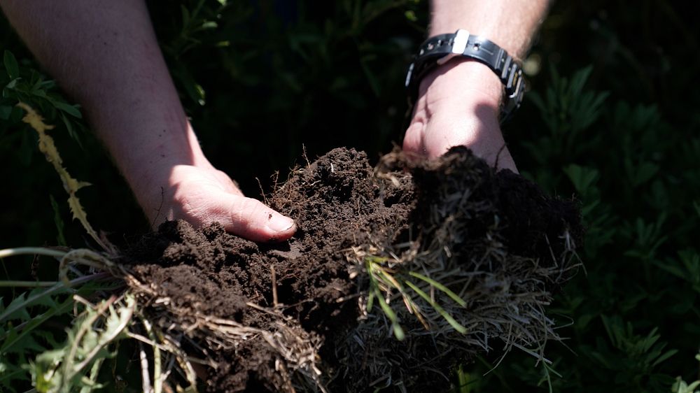 Soil in a historical saline | Free Photo - rawpixel