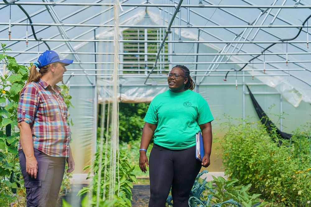 Amy Surburg, the owner of Berry | Free Photo - rawpixel