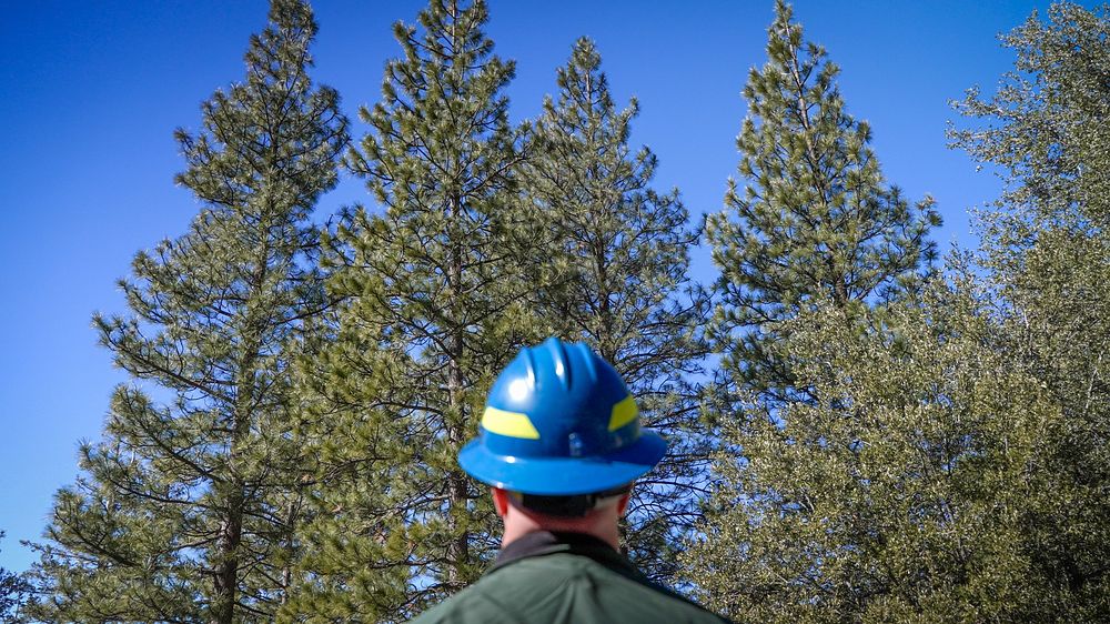 Angeles National Forest Natural Resource | Free Photo - rawpixel