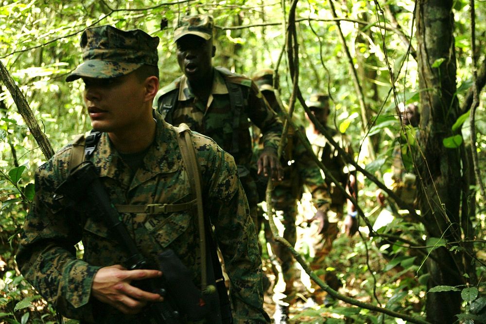 Task Force Africa Partnership Station | Free Photo - rawpixel