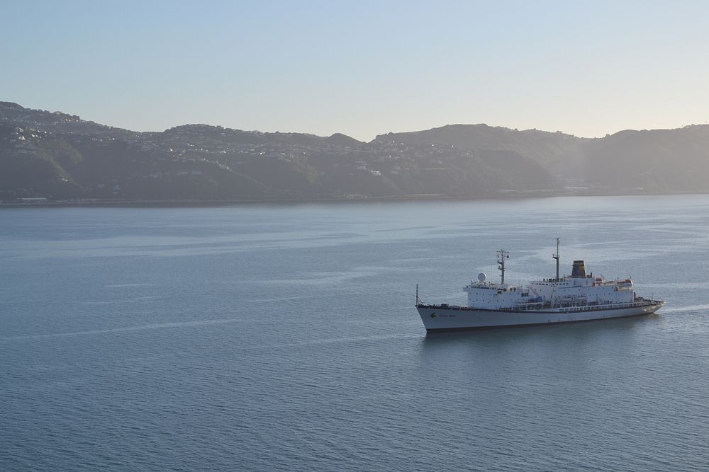 CALIFORNIA MARITIME ACADEMY’S GOLDEN BEAR | Free Photo - rawpixel