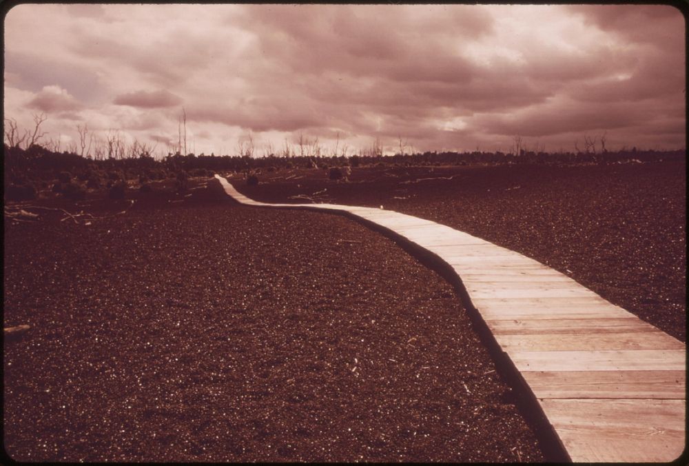 "Devastation Trail" is name given | Free Photo - rawpixel