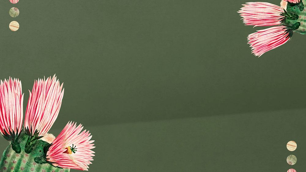 Blooming cactus, green desktop wallpaper | Premium Photo - rawpixel