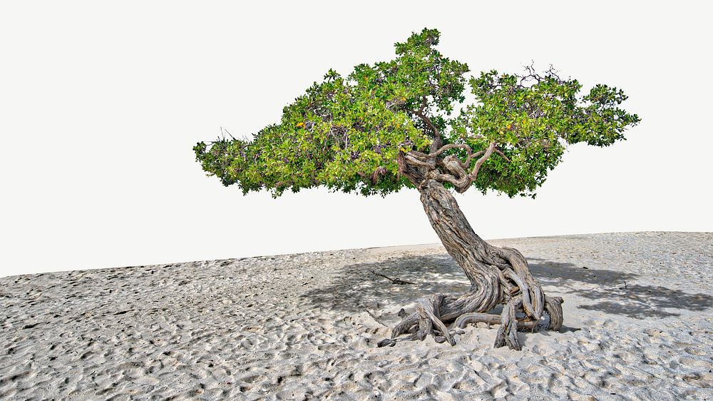 Wavy tree isolated object collage | Free PSD - rawpixel