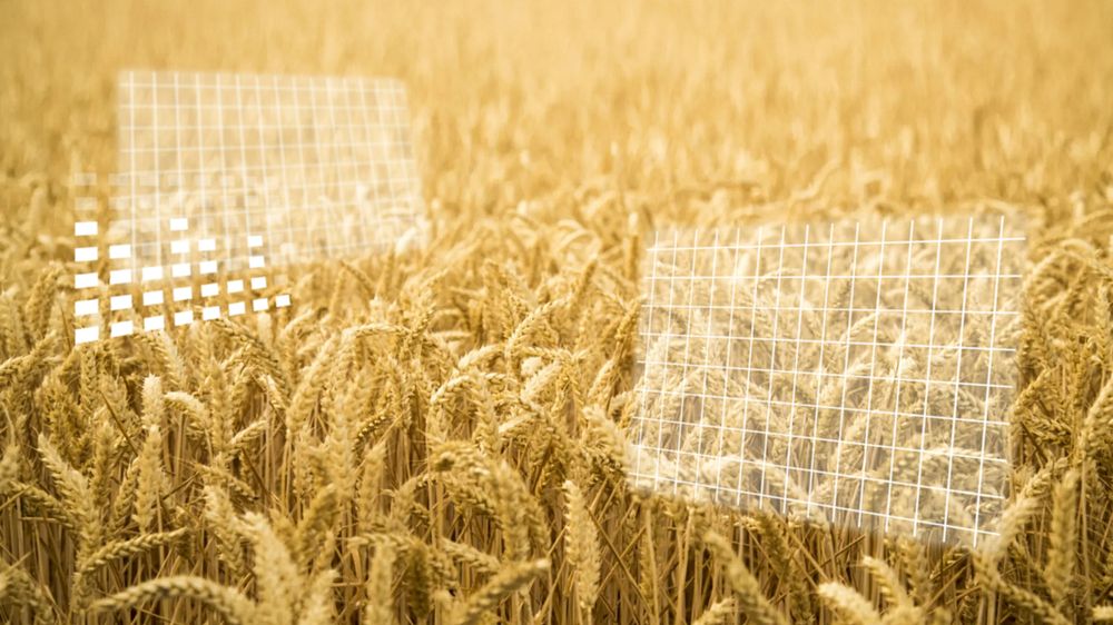 IoT smart agriculture desktop wallpaper, | Premium Photo - rawpixel