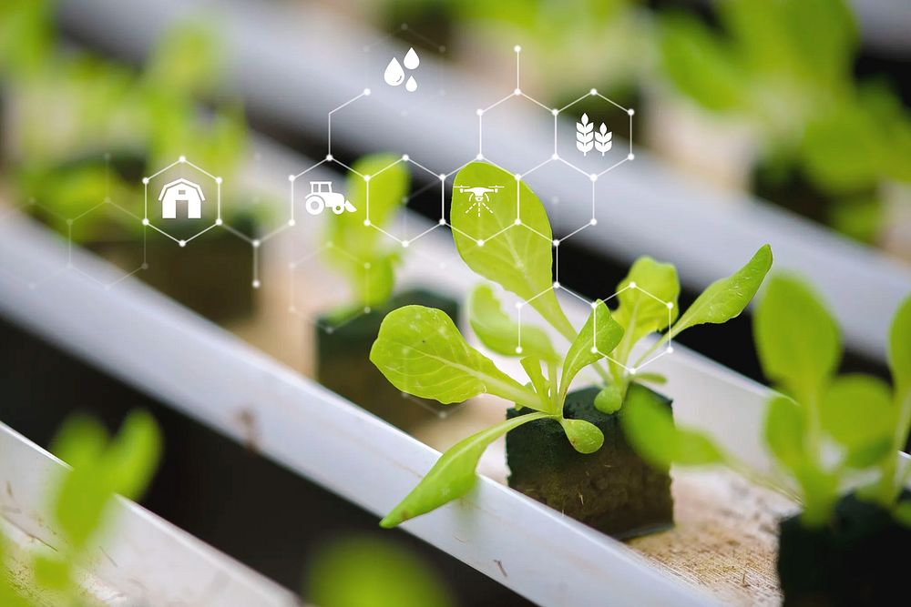 Smart farming, agriculture technology | Premium Photo - rawpixel