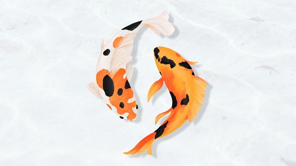 Koi fish couple desktop wallpaper | Premium Photo Illustration - rawpixel