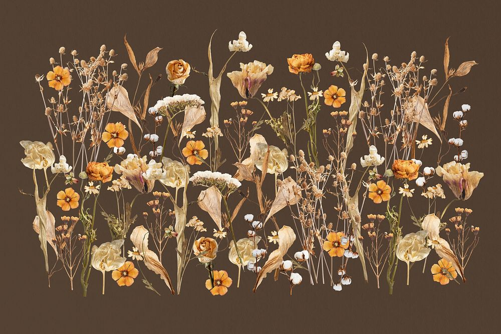 Autumn aesthetic flower branch collage | Premium Photo - rawpixel