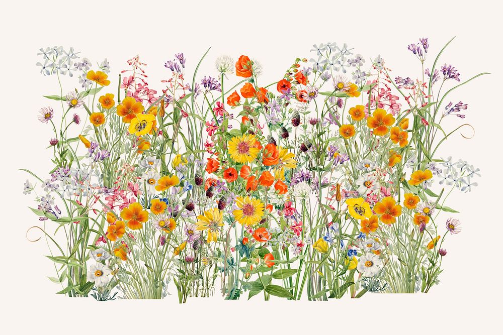 Spring wildflower, colorful botanical collage | Premium Photo - rawpixel