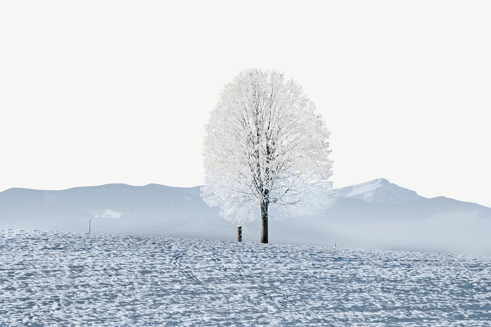 Winter lone tree border psd | Premium PSD - rawpixel