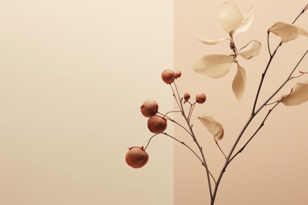 Botanica flower plant wall. AI | Free Photo - rawpixel