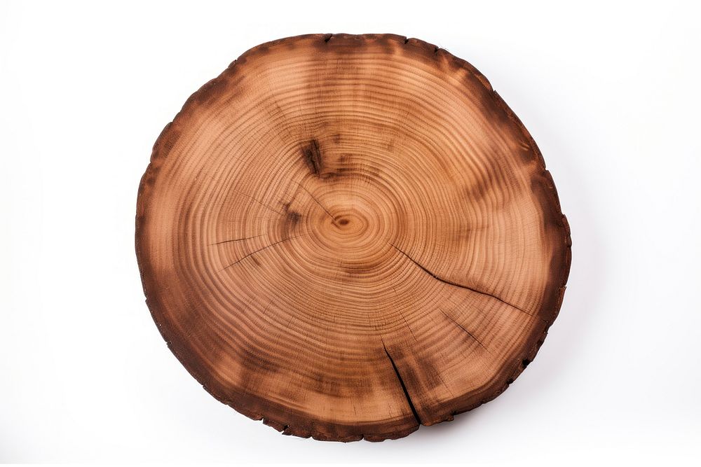 Wood circle plant bark. AI | Free Photo - rawpixel