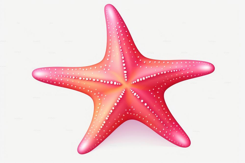 Starfish pink white background invertebrate. | Free Photo Illustration ...