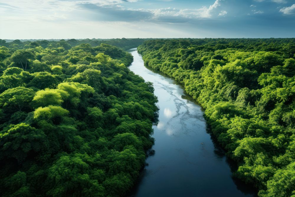 Amazon River nature river | Premium Photo - rawpixel