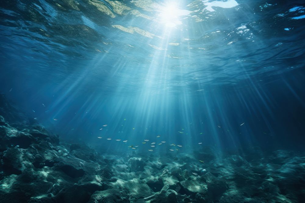 Ocean underwater outdoors nature | Free Photo - rawpixel