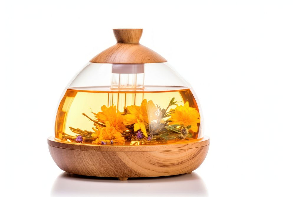 Aromatic oil diffuser plant transparent. | Free Photo - rawpixel