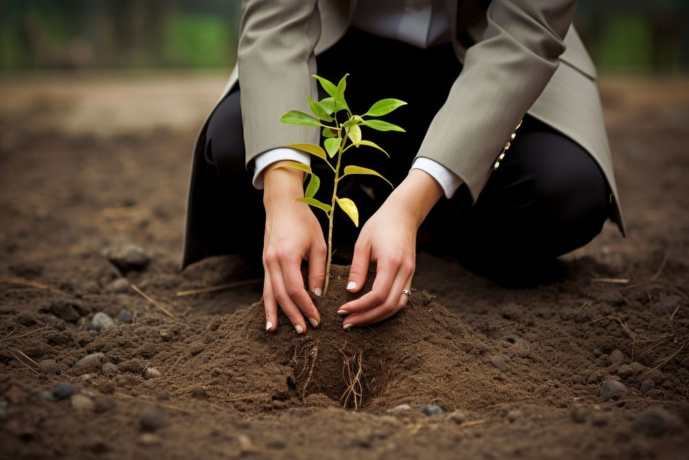 Planting tree gardening outdoors nature. | Free Photo - rawpixel