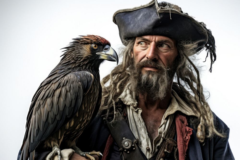 Pirate bird animal adult. AI | Free Photo - rawpixel