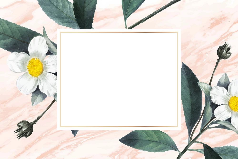 White flower frame aesthetic background | Free Photo Illustration ...