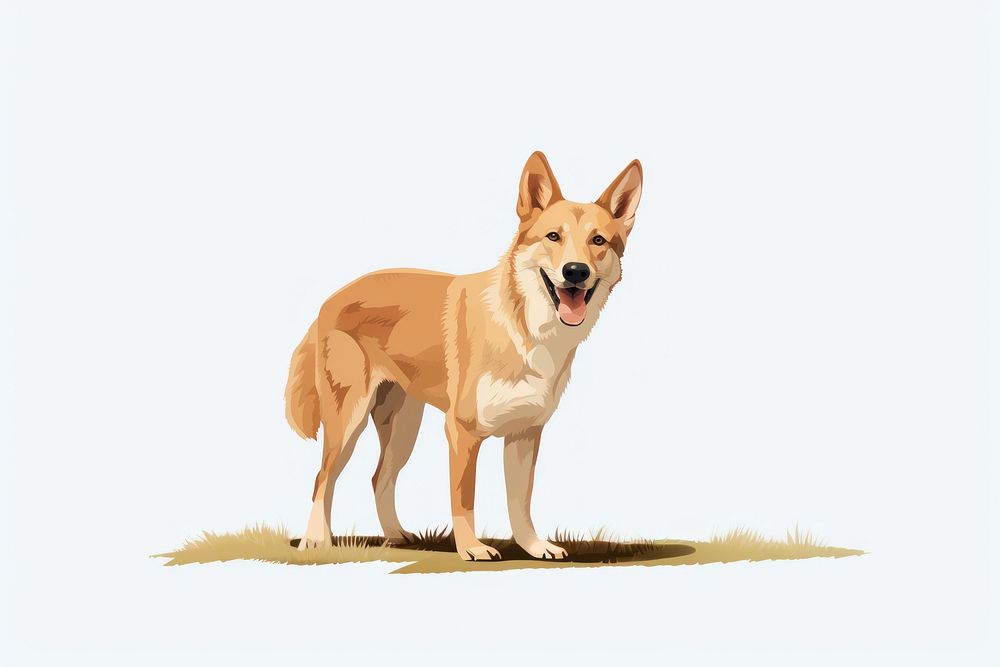 Dingo mammal animal dingo. AI | Free Photo Illustration - rawpixel