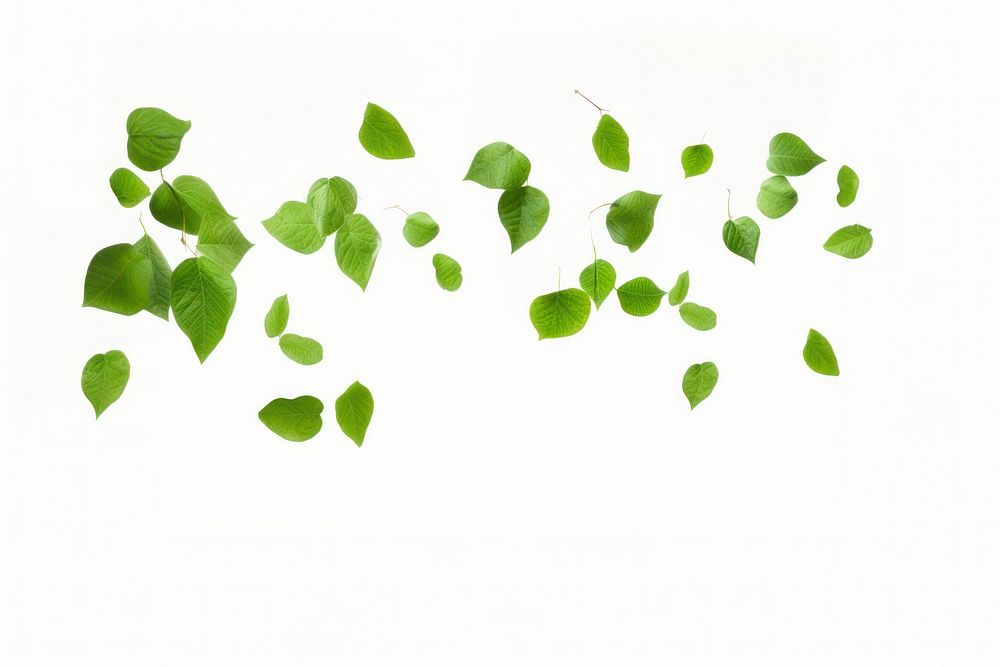 Green falling leaves backgrounds plant | Free Photo - rawpixel