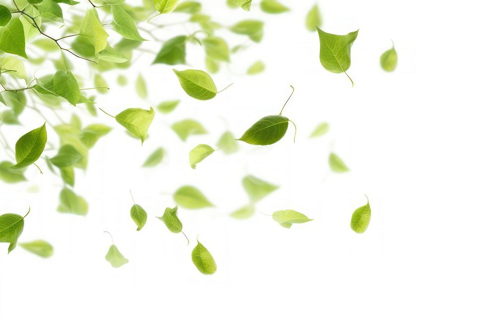 Green leaves falling backgrounds plant | Premium Photo - rawpixel