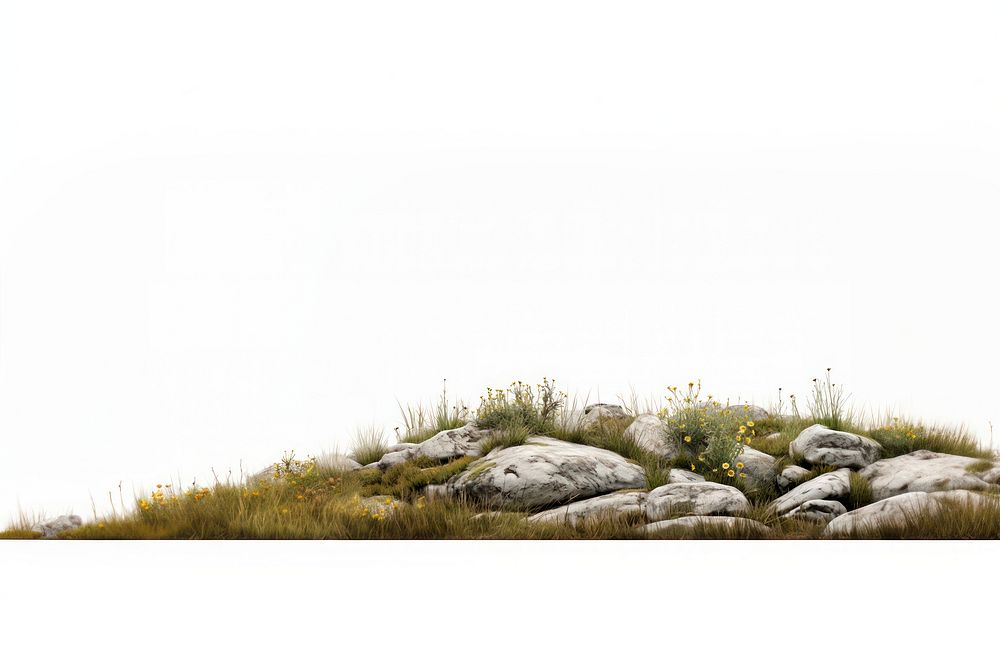 Rocky grass field land landscape | Free Photo - rawpixel