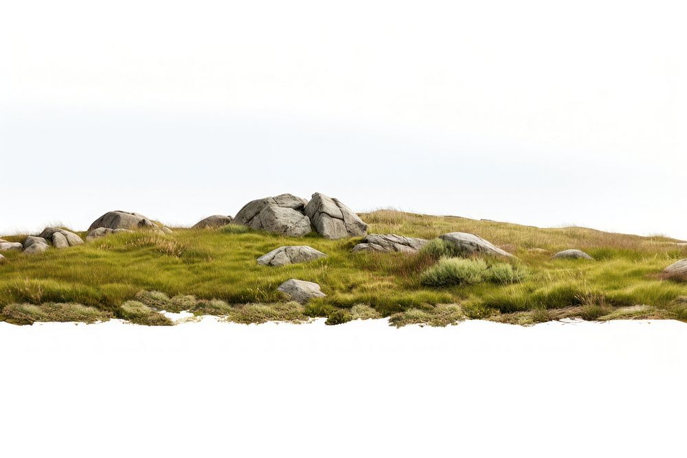 Rocky grass field land landscape | Premium Photo - rawpixel