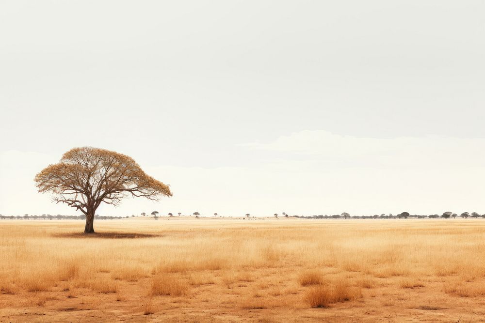 African field landscape outdoors nature. | Free Photo - rawpixel