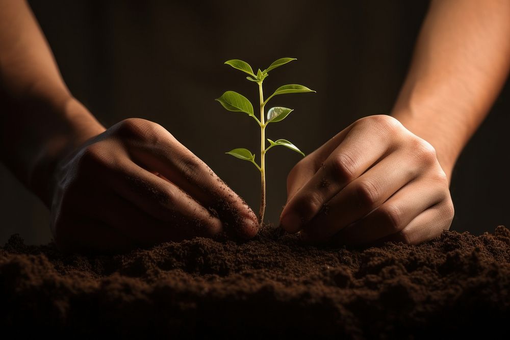 Planting hand outdoors nature. | Free Photo - rawpixel