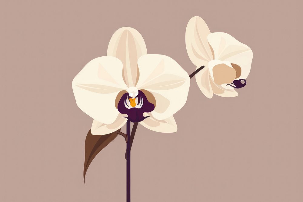 Orchid flower plant inflorescence. AI | Free Photo Illustration - rawpixel