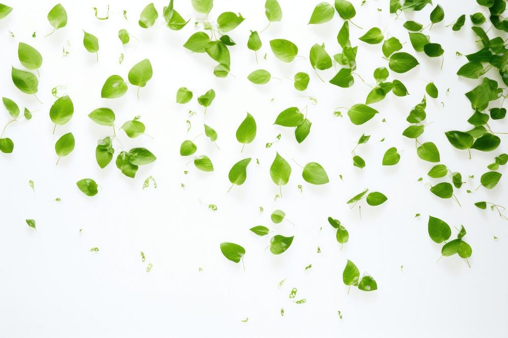 Green leaves falling backgrounds plant | Premium Photo - rawpixel