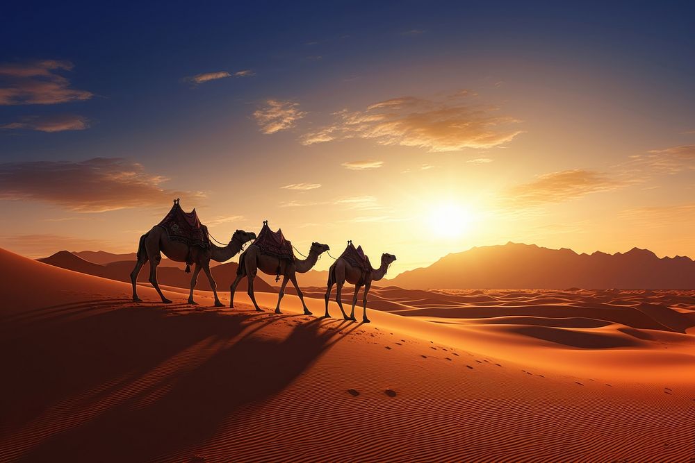 Desert camel outdoors nature. AI | Free Photo - rawpixel