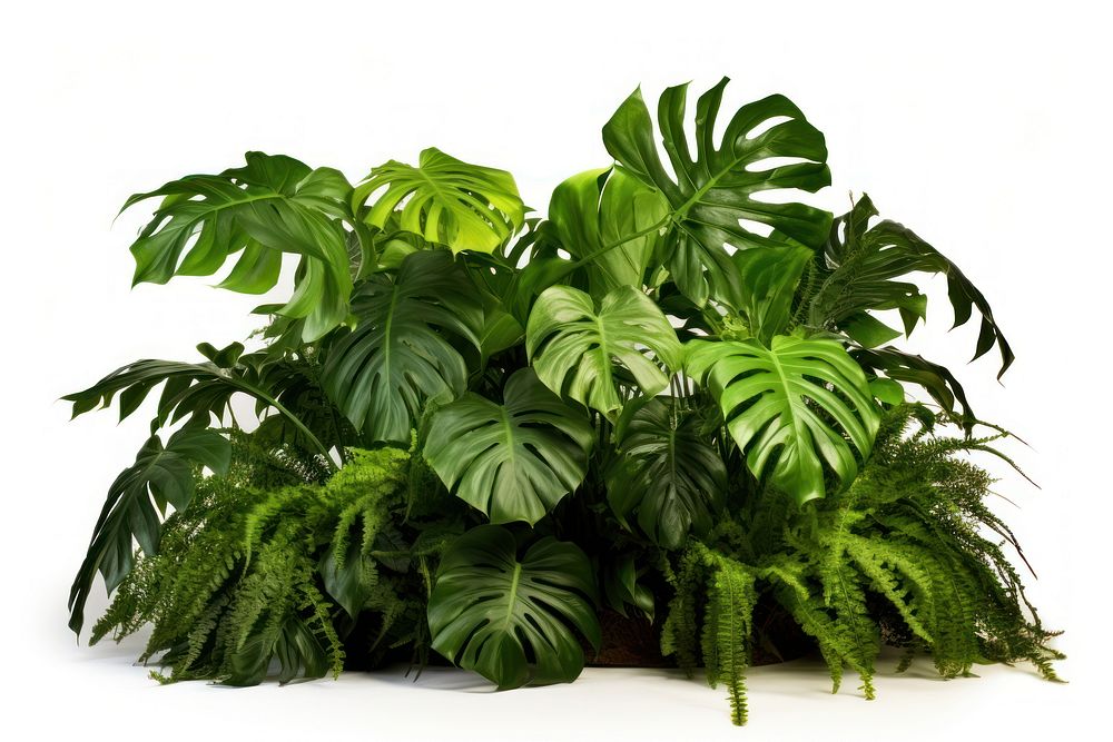 Bush tree plant vegetation outdoors. | Premium Photo - rawpixel