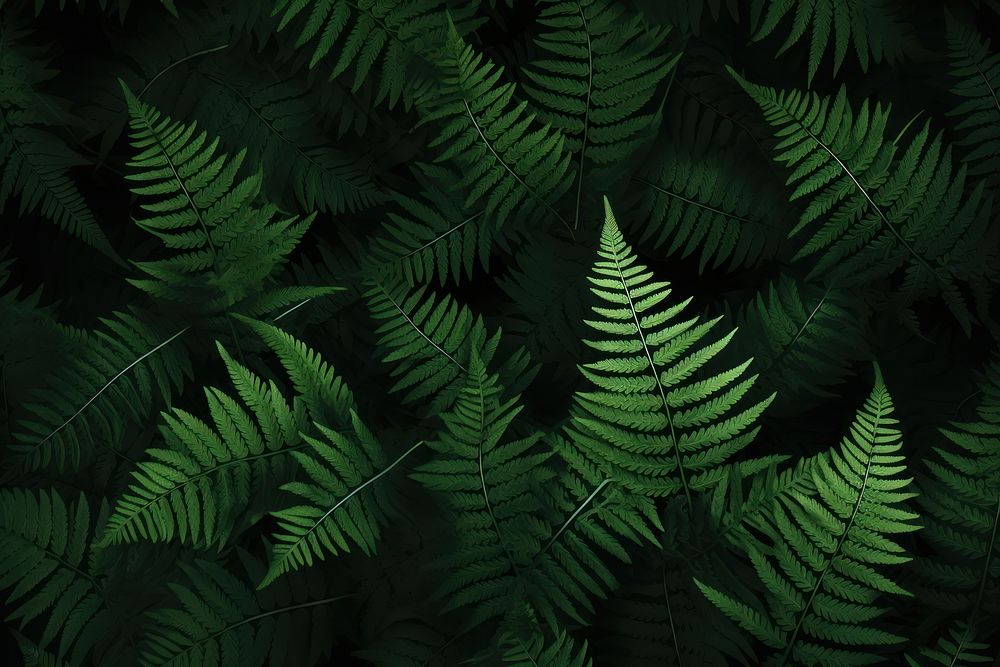 Leafy fern backgrounds plant. AI | Premium Photo - rawpixel