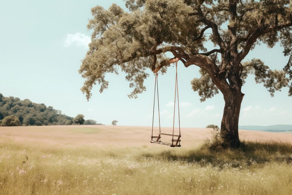 Swing tree outdoors nature. AI | Premium Photo - rawpixel