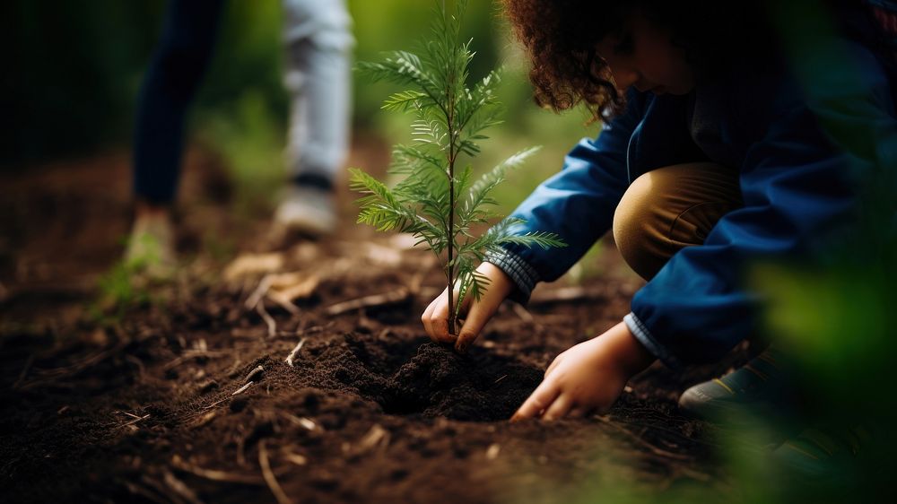 Planting gardening outdoors nature. AI | Premium Photo - rawpixel
