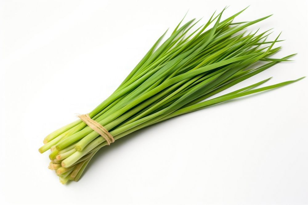 Lemon grass vegetable plant food. | Premium Photo - rawpixel