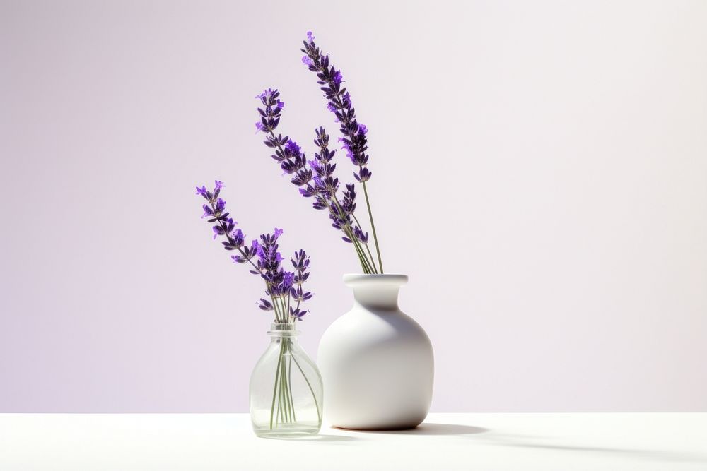 Lavender flower plant vase. | Premium Photo - rawpixel