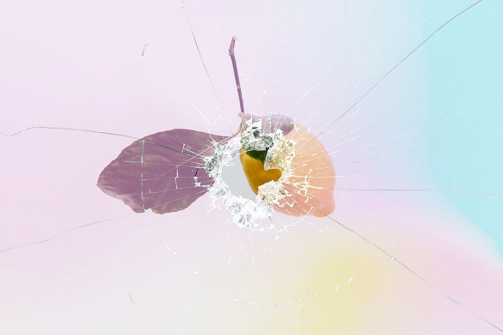 Lemon photo broken glass effect | Premium Photo - rawpixel