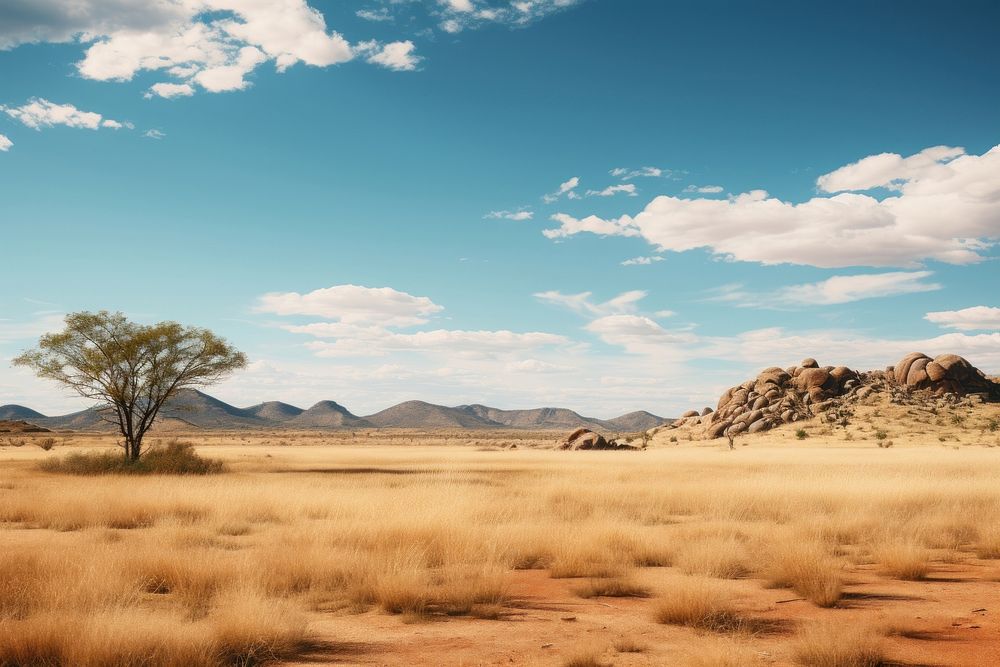 Namibia field landscape outdoors nature. | Premium Photo - rawpixel