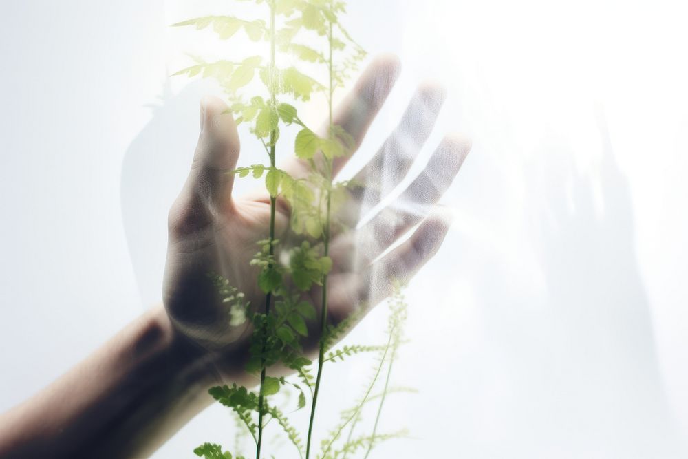hand holding plant gardening outdoors | Premium Photo - rawpixel