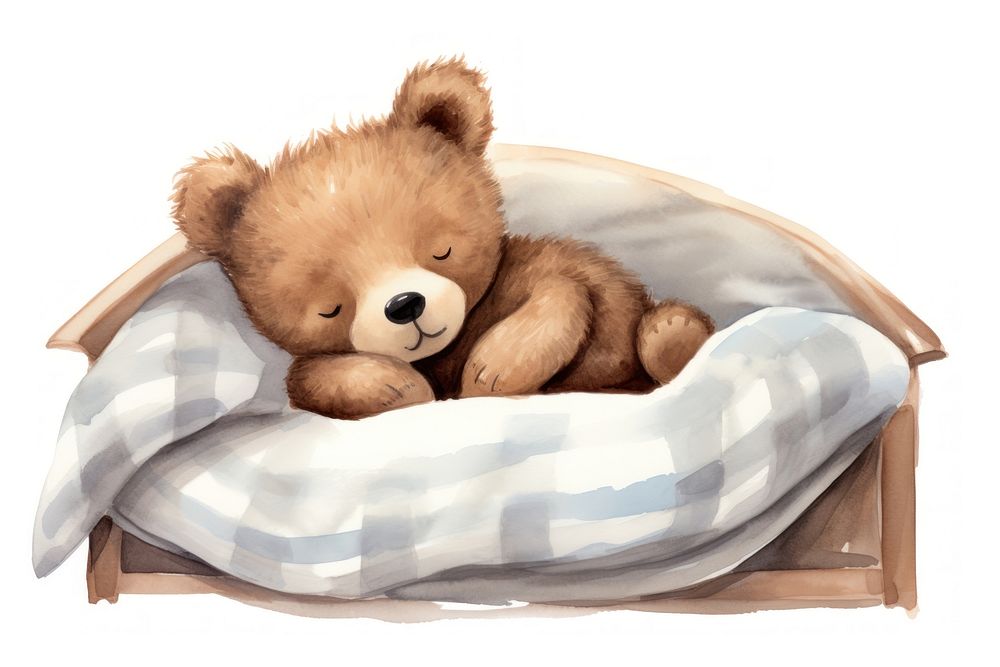 Bear furniture sleeping mammal. | Free Photo Illustration - rawpixel