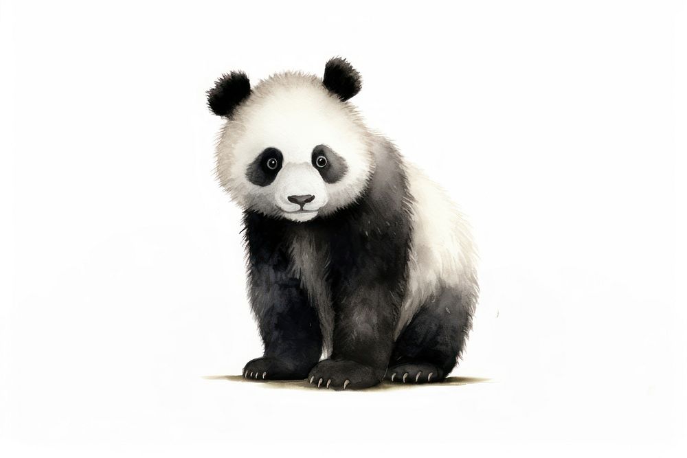Panda wildlife animal mammal. AI | Premium Photo Illustration - rawpixel