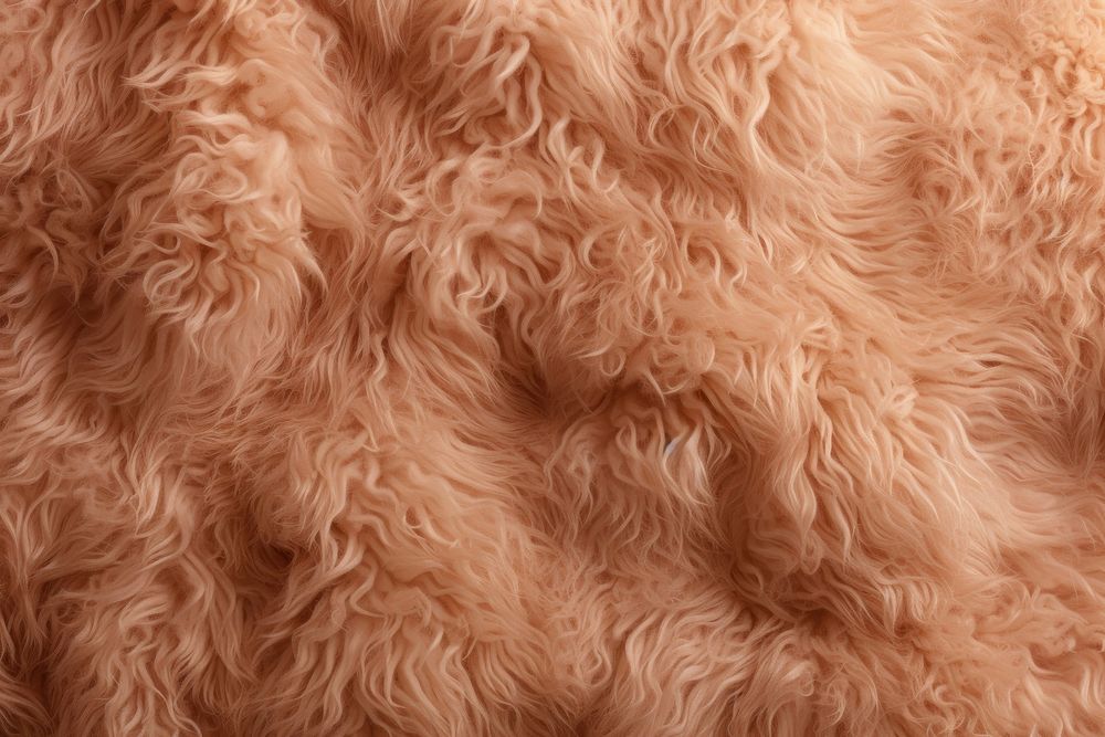 Poodle backgrounds texture animal. AI | Free Photo - rawpixel
