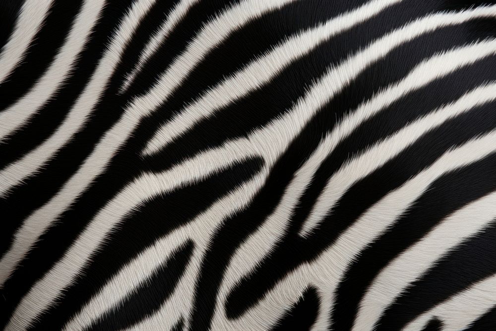 Zebra animal backgrounds wildlife. AI | Free Photo - rawpixel